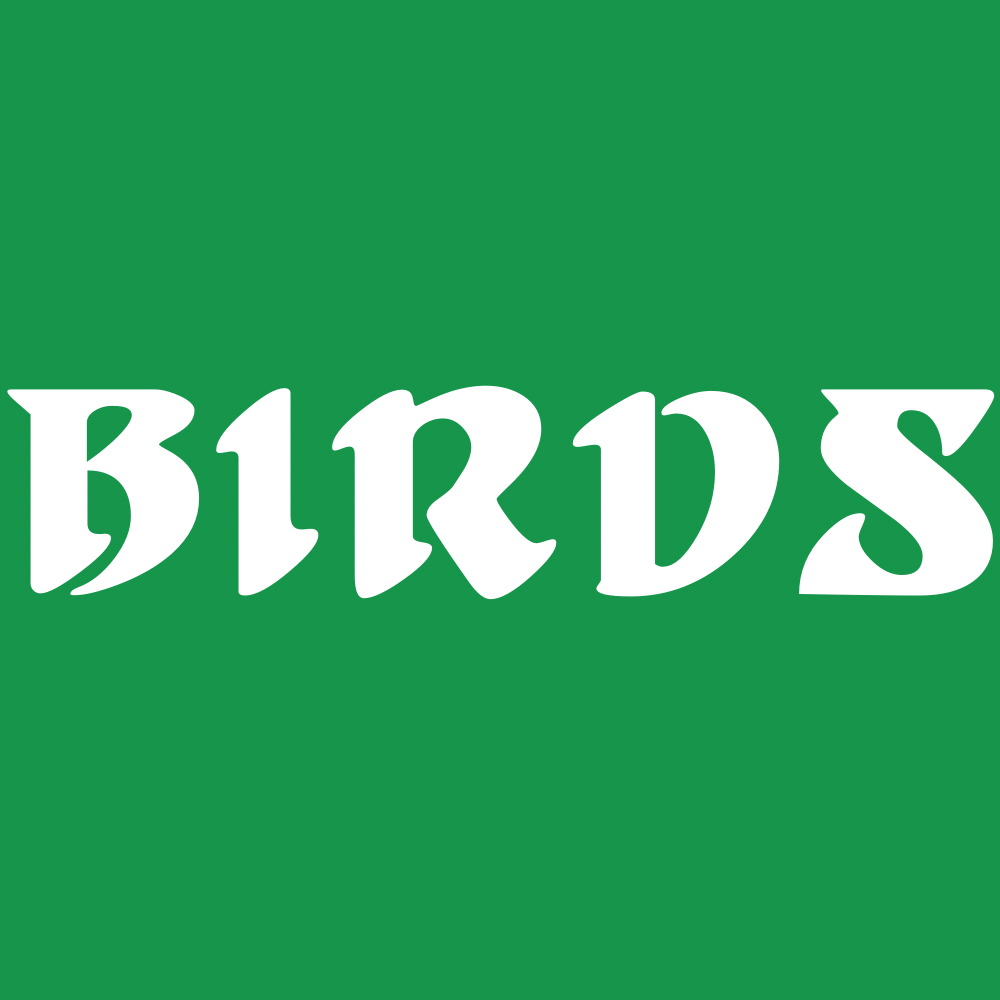 BIRDS – Shop DY Designs